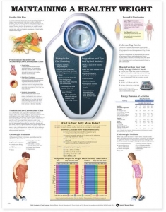 Healthy Weight Chart | Medline Industries, Inc.