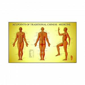 Acupuncture Points Anatomical Charts | Medline Industries, Inc.