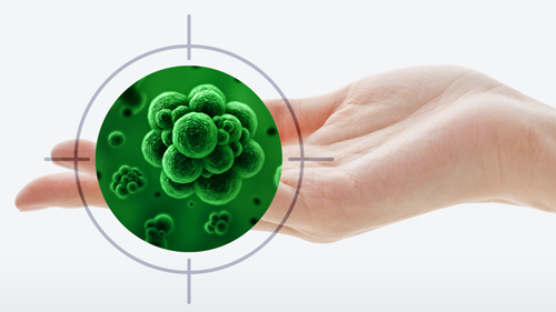 Infection Prevention: Factors Affecting Hand Hygiene 6 Barriers and ...