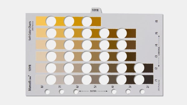 Dark skin tones: 6 tips to improve skin and wound outcomes