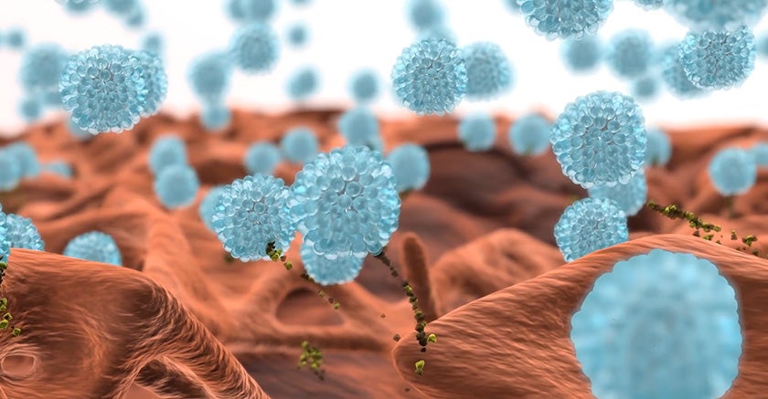 Debridement: What clinicians need to know