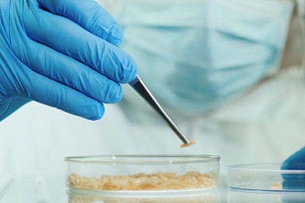 Debridement: What clinicians need to know